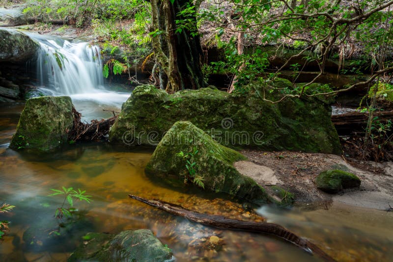Cascading Creek through Moss Covered Rocks Stock Photo - Image of creek ...