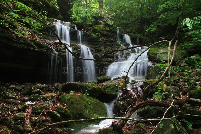 Cascading Deep Forest Waterfall Stock Image - Image of forest, pool ...