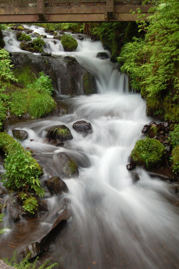 Cascading Falls stock image. Image of grow, season, spring - 2427595