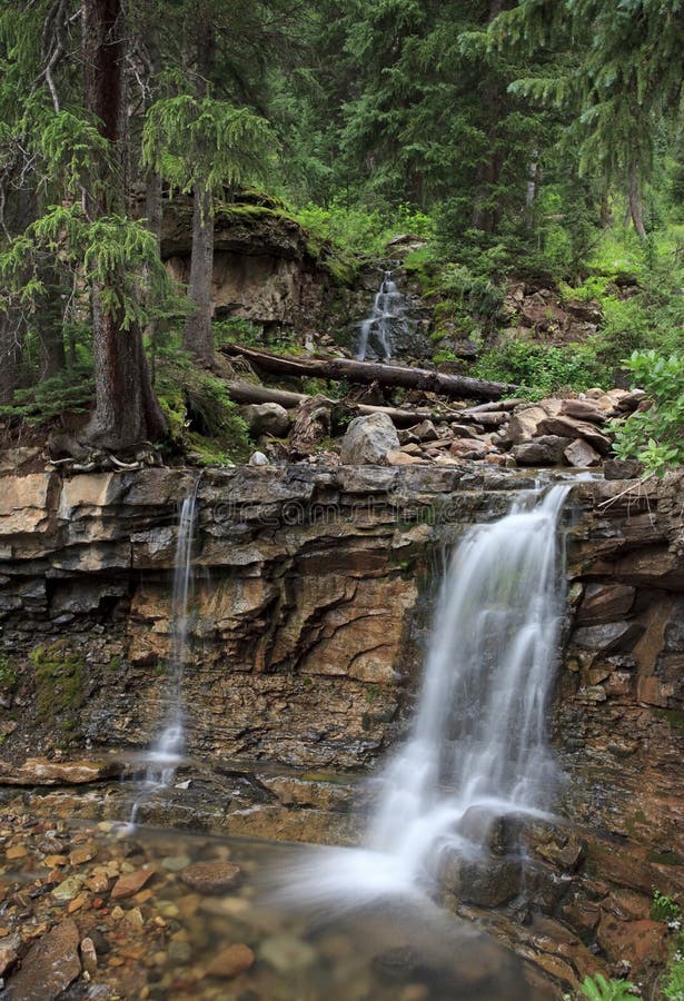 Cascading Forest Stream in Colorado Mountains Stock Photo - Image of ...