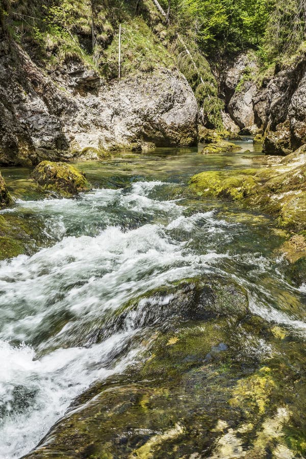 Cascading mountain stream stock photo. Image of canyon - 41478088