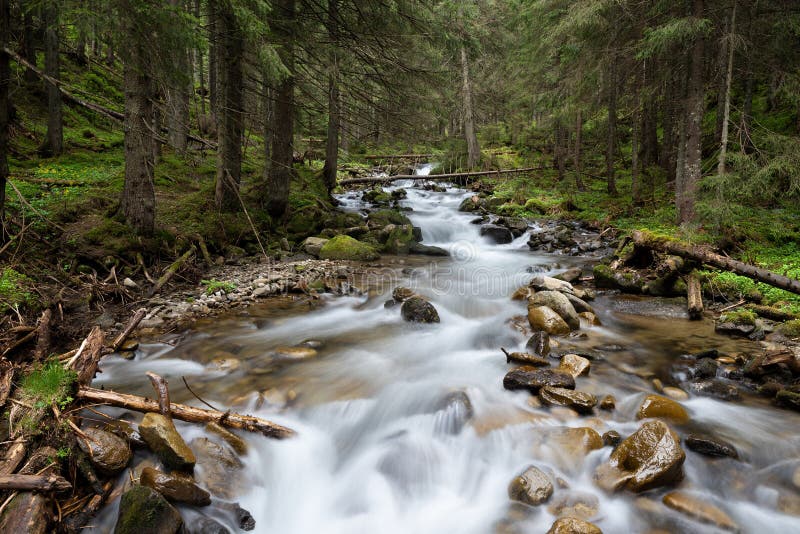Cascading River in a Lush Mountain Forest Stock Photo - Image of ...