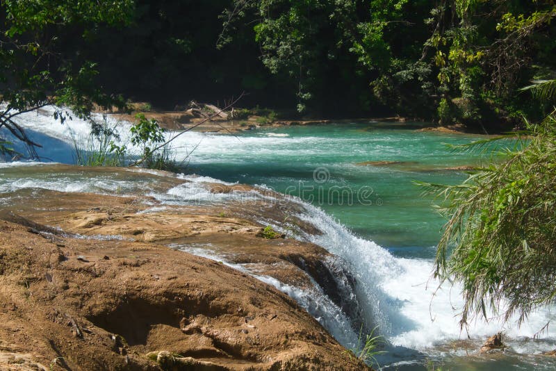 Cascading and Splashing River Water in the Green Forest on a Sunny Day ...