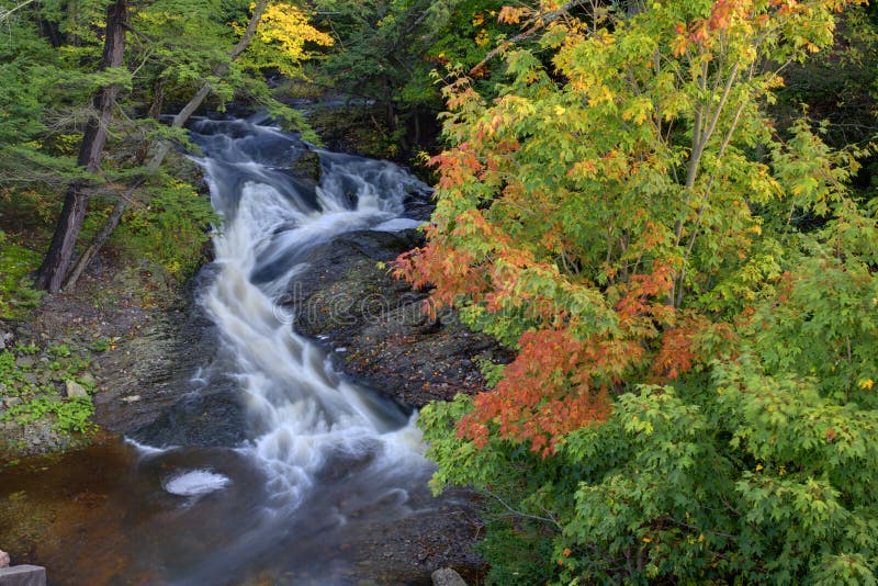 Cascading Stream in a Fall Forest Stock Image - Image of babbling ...