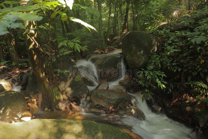 Cascading Water of Forest Stream in the Jungle of Malaysia Stock Photo ...