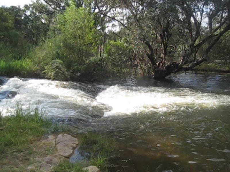 CASCADING WATER in the KAVANGO RIVER in NAMIBIA Stock Footage - Video ...