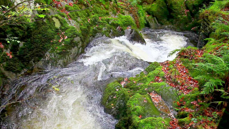 Cascading water waterfall stock footage. Video of natural - 35181891