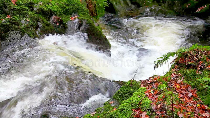 Cascading water waterfall stock video footage. Video of fresh - 35196848