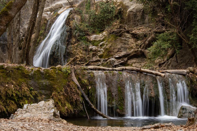 Cascading Waterfall among the Branches of Trees Stock Photo - Image of ...