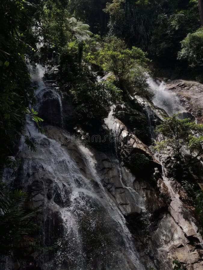 Rainforest Riverbed Oasis in Malaysia Stock Photo - Image of ecosystem ...