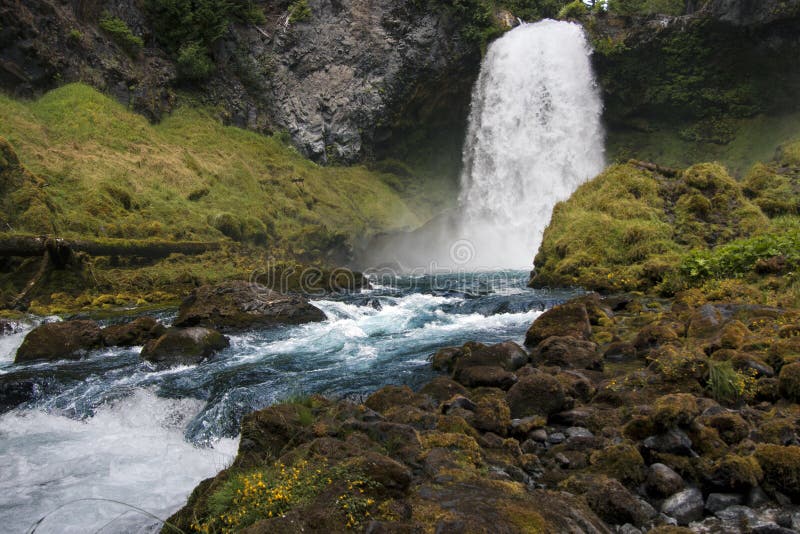 Cascading Waterfall in Oregon Stock Image - Image of outdoors, trees ...