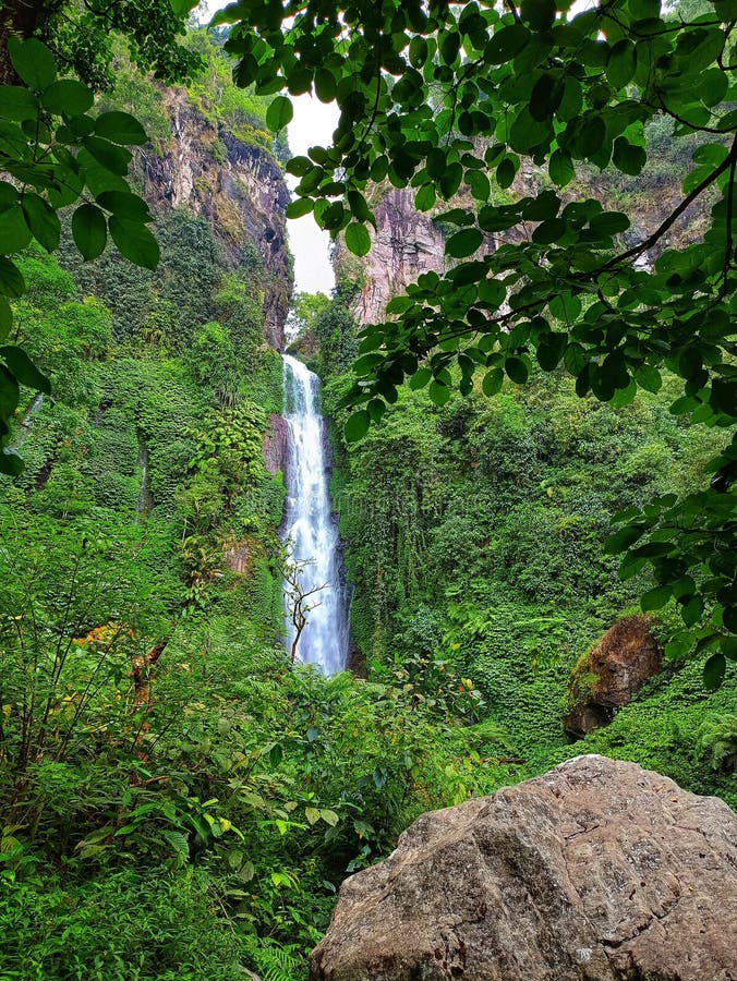 A Cascading Waterfall Plunges through a Lush, Green Rainforest ...