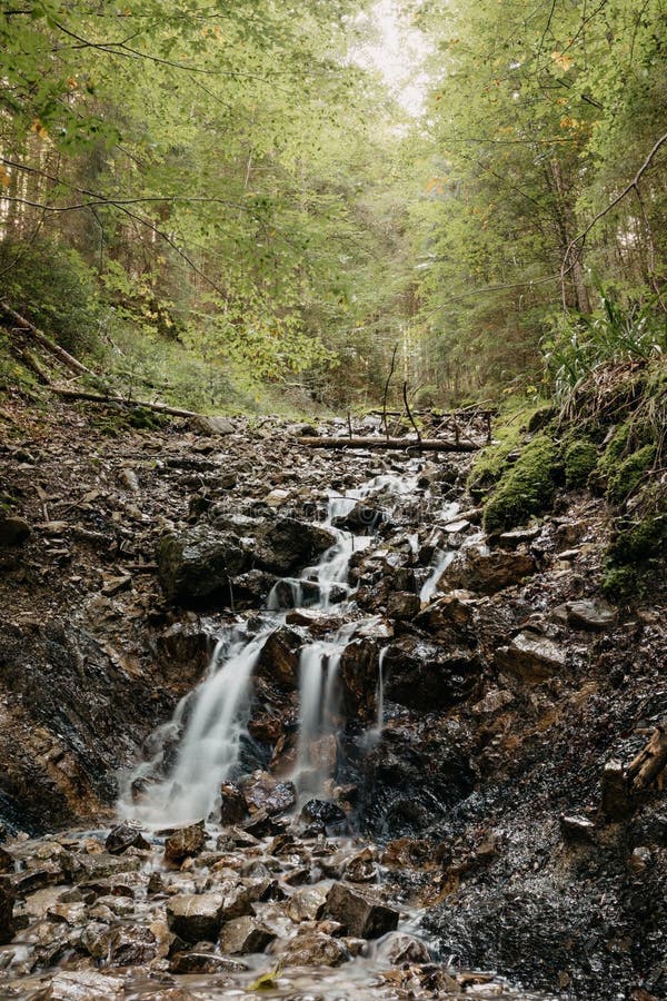 Cascading Waterfall Surrounded by Lush Greenery in a Forest Setting ...