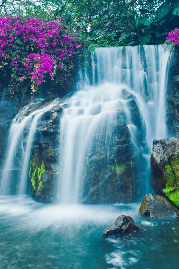 Cascata Nel Giardino Tropicale Di Zen Fotografia Stock - Immagine di ...