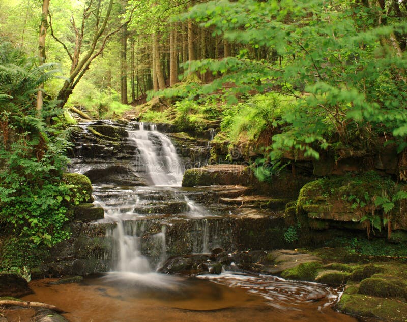 Cascata Del Terreno Boscoso Immagine Stock - Immagine di bosco, cascata ...