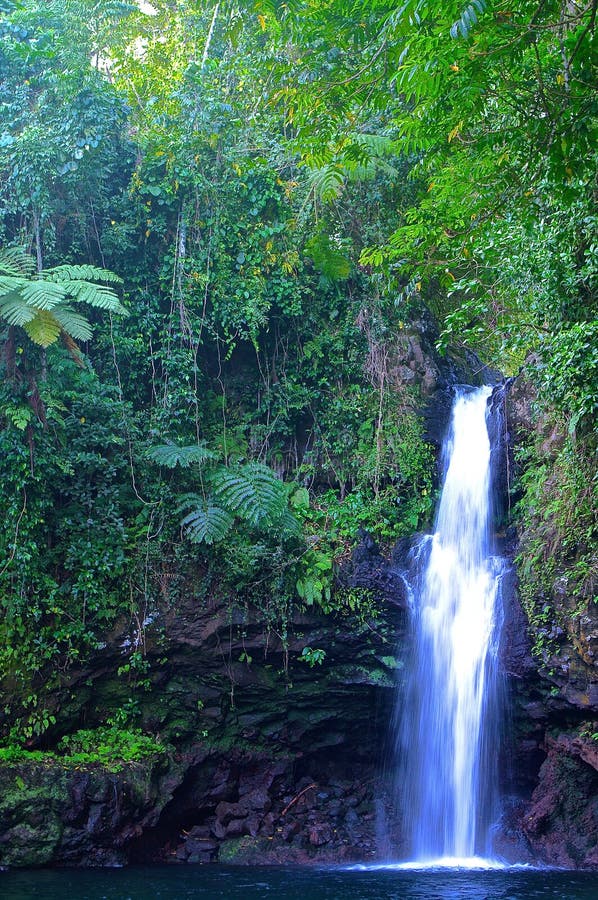 Cascata di Afu Aau fotografia stock. Immagine di samoa - 44968468