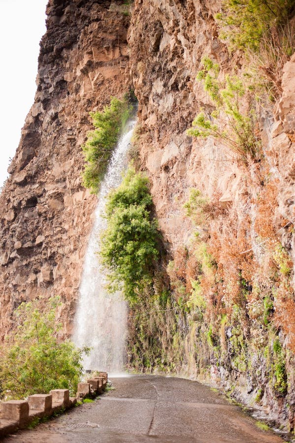 Cascata, Ilha DA Madeira, Portugal Foto de archivo - Imagen de caldera ...