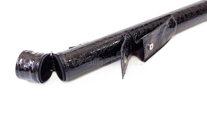 Case for Billiard Cue. Billiard Tube Stock Photo - Image of game, pool ...
