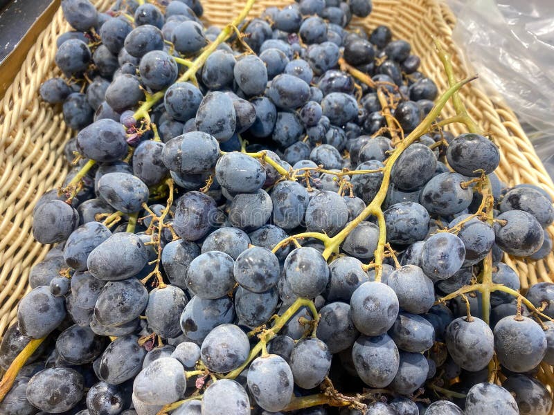 A Case of Blue Grapes, a Bunch of Grapes Stock Photo - Image of sweet ...
