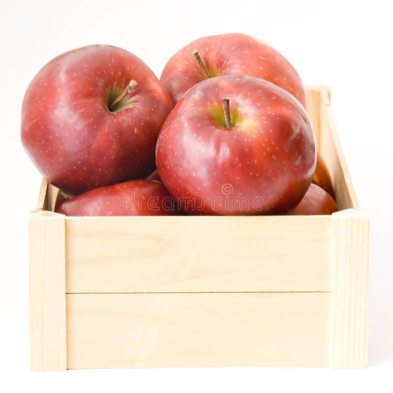 Case full of red apples stock photo. Image of studio - 11706634