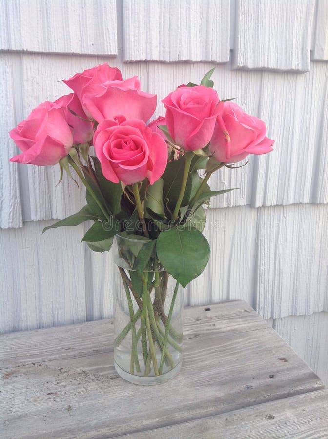 Vase of pink roses stock image. Image of vase, stems - 42578229