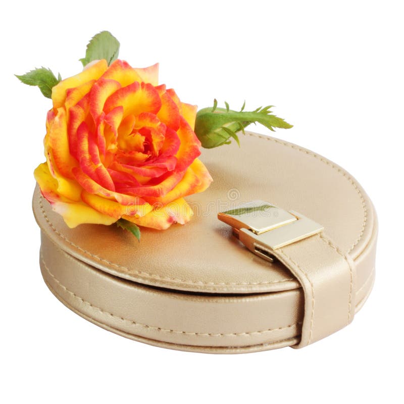 Case and rose stock image. Image of female, equipment - 23056291