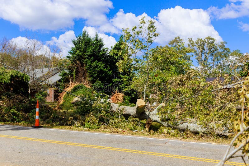 In Case of Stormy Hurricane, Strong Winds Uprooted Tree on a Ground ...