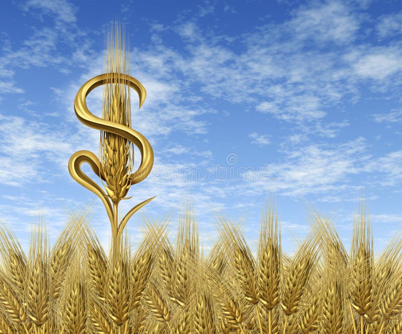 Cash Crop stock illustration. Illustration of farming - 24552779
