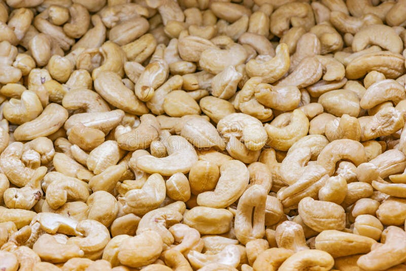 Cashew nut inside! stock photo. Image of wild, orange - 25507254