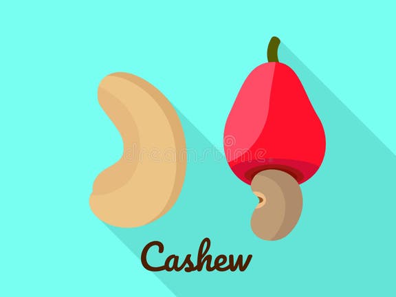 Cashew icon, flat style stock vector. Illustration of plant - 138333594