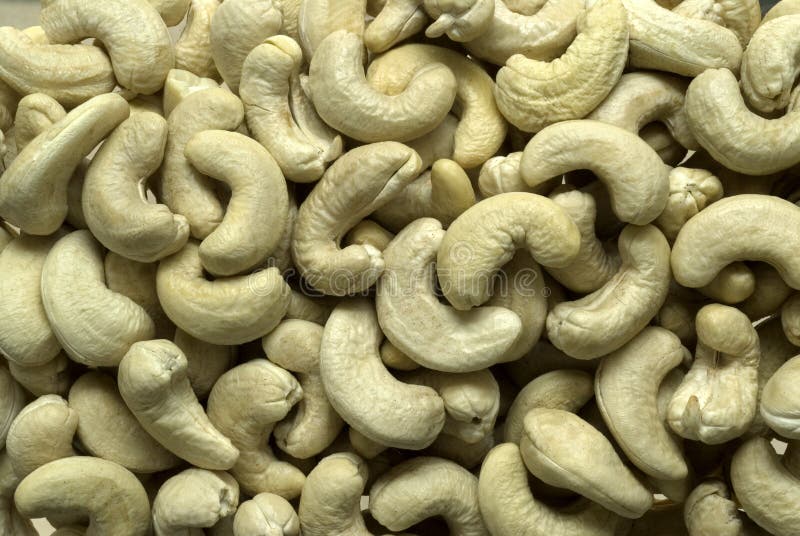 Cashew kernels stock image. Image of seeds, nuts, plants - 57482925