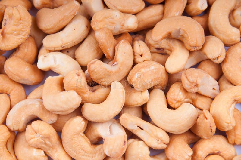 Cashew nut stock photo. Image of food, crispy, texture - 41952746
