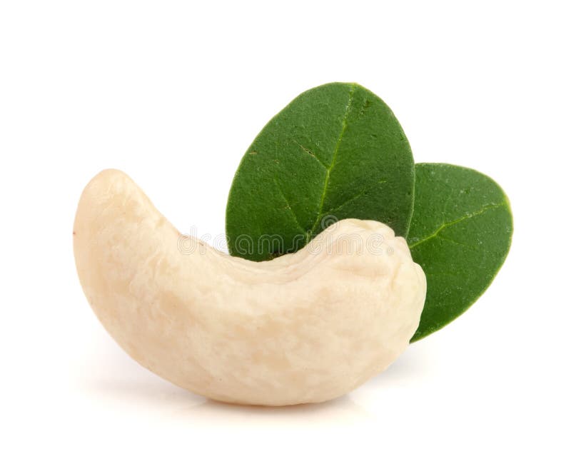 Single Cashew Nut Stock Photos - Download 428 Royalty Free Photos