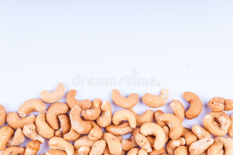 Cashew nut stock photo. Image of cashew, bature, organic - 41952744