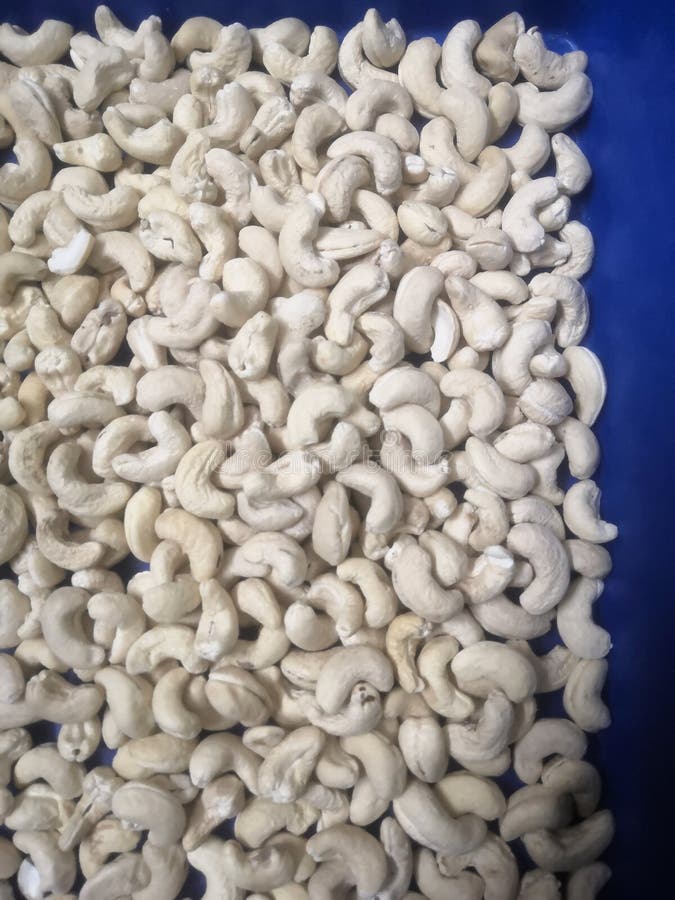 Cashew Nut Snow White Curved Stock Image - Image of pattern, carving ...