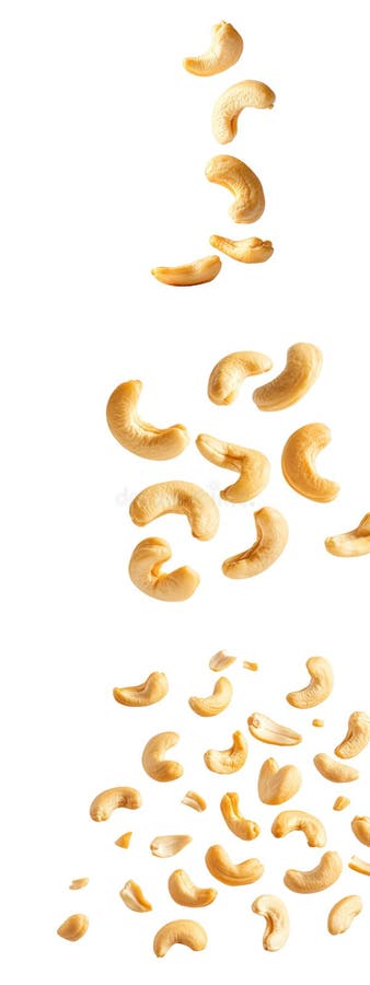 Cashew Nuts Falling on a White Background Stock Illustration ...