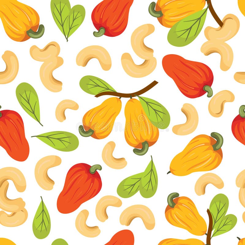 Cashew Nuts. Seamless Color Pattern Stock Illustration - Illustration ...