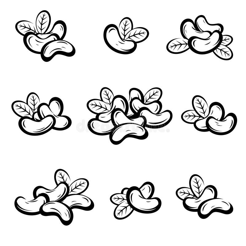 Cashew Nuts Set. Collection Cashew Nuts Icons Stock Vector ... Cashew Nuts Set. Collection Cashew Nuts Icons Stock Vector ...