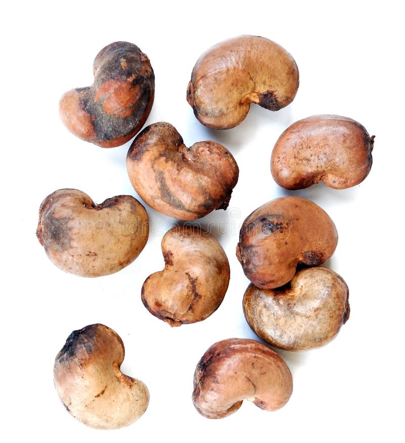 Peel Cashew Shell stock photo. Image of hard, shell, roasted - 73378308
