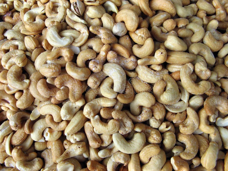 Cashews stock image. Image of healthy, diet, food, delicious - 3734633