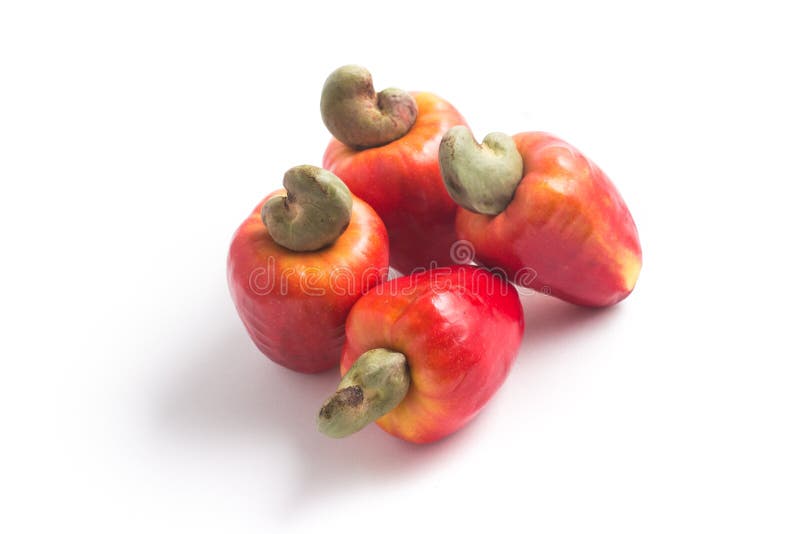 Caju Fruit stock photo. Image of suco, caju, tropical - 16017948