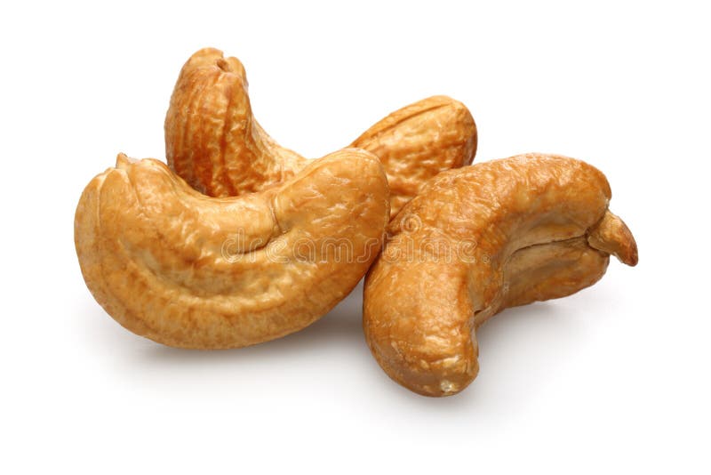 Cashews nut stock image. Image of fruit, cashew, white - 50258353