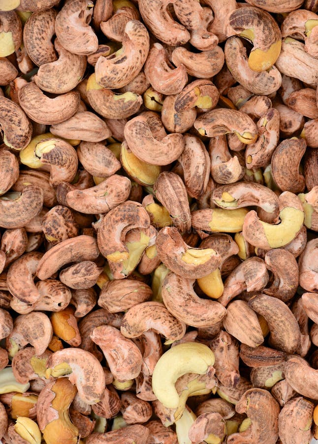Cashews nut stock image. Image of fruit, cashew, white - 50258353