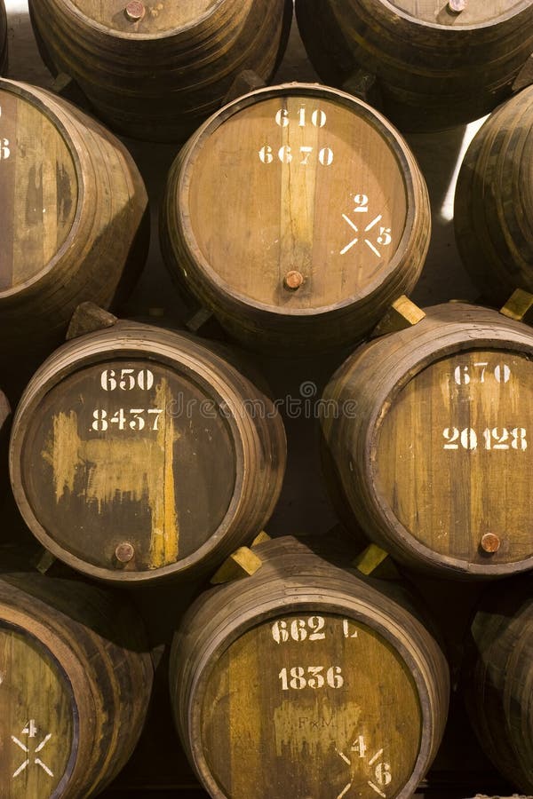 Cask stock photo. Image of vertical, barrel, winery, cask - 6676560