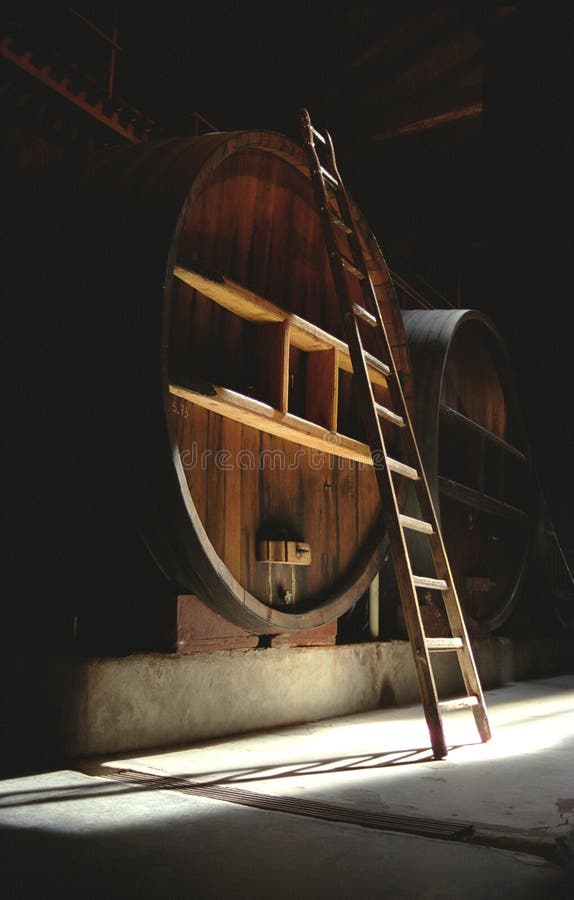 Cask & Ladder in Dark Cellar Stock Photo - Image of grape, alcohol: 5846940