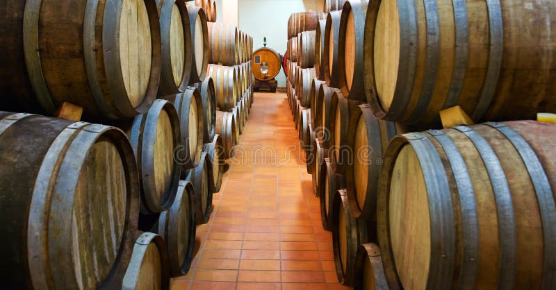 Casks with wine stock photo. Image of tradition, indoor - 24742592
