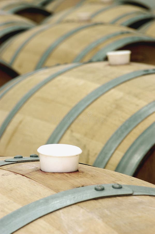 Casks of wine stock image. Image of wood, barrels, indoor - 26917509