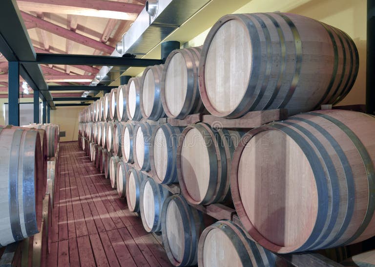 Casks in wine cellar stock photo. Image of wine, wood - 51270436