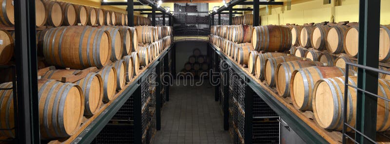Casks in Wine Cellar and Bottle Stock Photo - Image of cool, taste ...