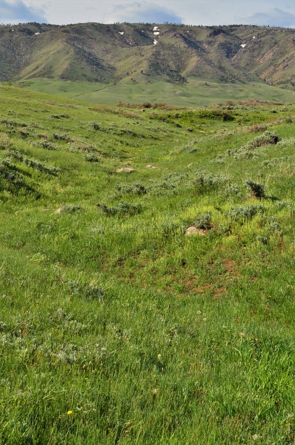 Casper Mountain Wyoming Springtime Stock Image - Image of squaw, state ...